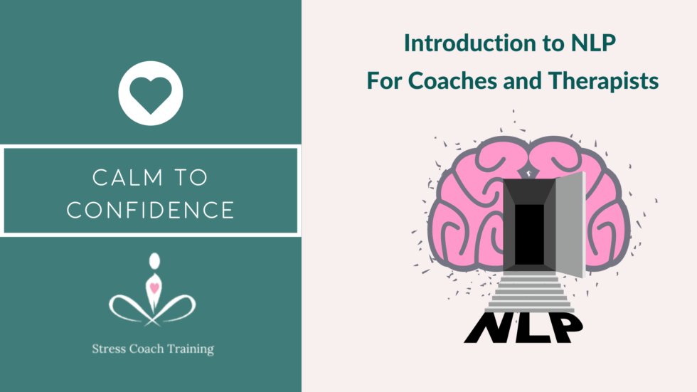 What is NLP Therapy: Neuro Linguistic Programming - Stress Coach Training